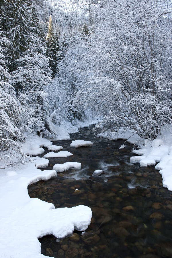 Snowy mountain stream. stock image. Image of snowy, river - 28723355
