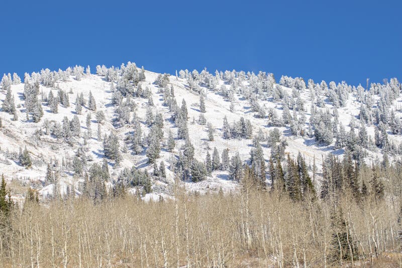 Snowy Mountains, First Snow in Utah. Stock Photo - Image of glacier ...