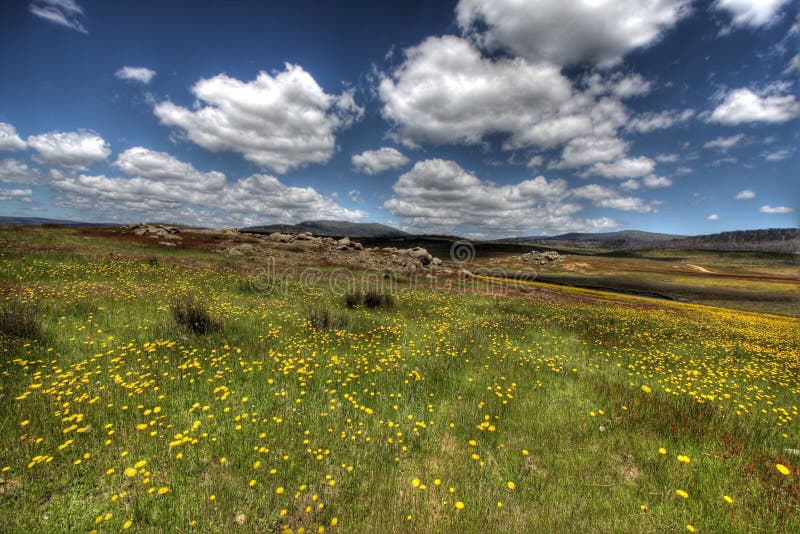 Snowy Mountains in Summer Time Stock Photo - Image of natural, outback ...
