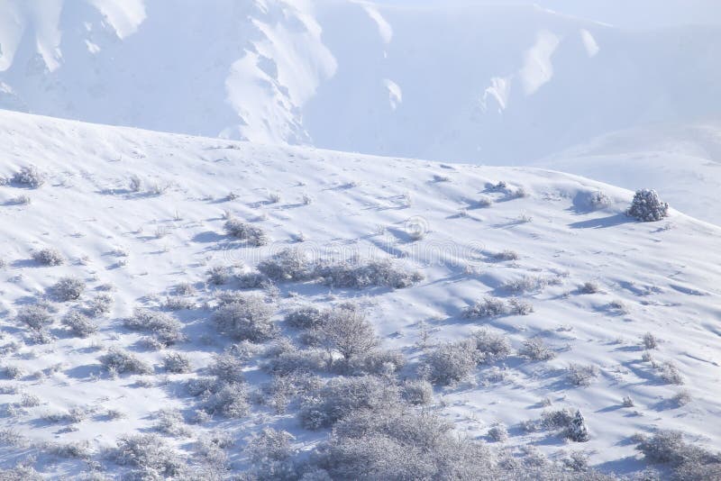 Snowy Mountainside in Winter Stock Image - Image of branch, outdoor ...