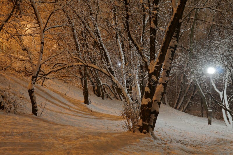 Snowy night stock photo. Image of cold, snow, outdoor - 48543670
