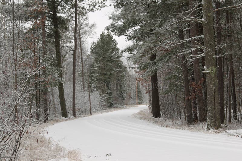 A Snowy Northern Wisconsin Road Stock Photo - Image of cold, covered ...
