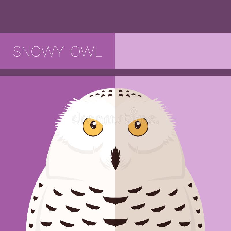 Snowy Owl flat postcard stock vector. Illustration of snow - 81988411