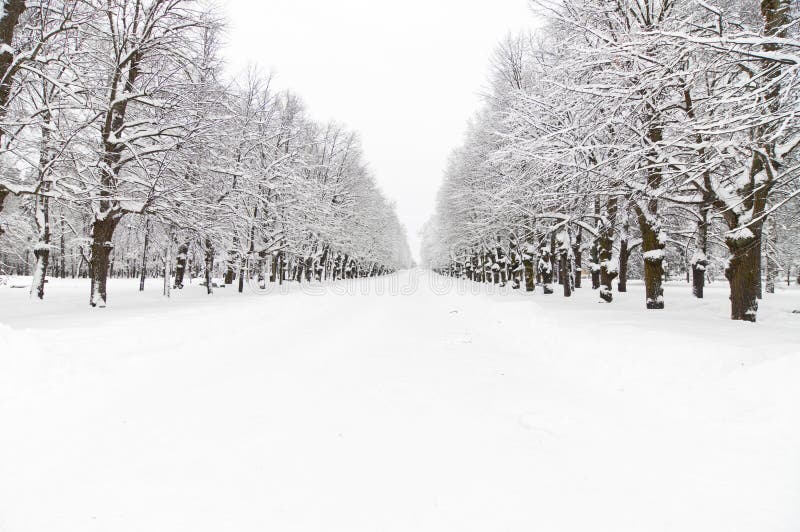 Snowy park stock image. Image of path, scenic, park, scene - 21320499
