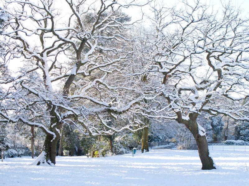 Snowy park stock photo. Image of snowstorm, park, landscape - 26304868