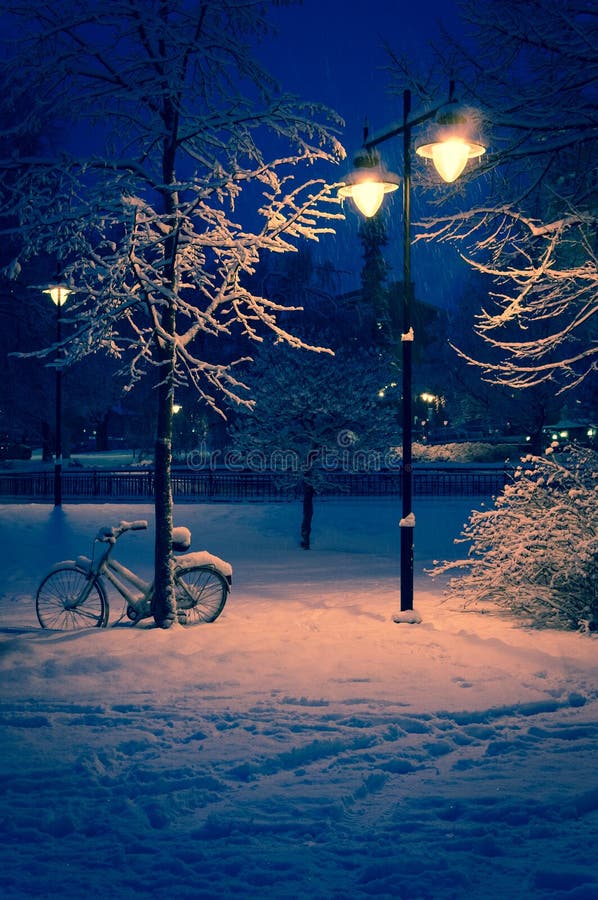 Snowy Park Lighted at Night Stock Photo - Image of nature, lamps: 24668090