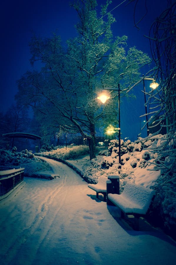 Snowy park at night stock photo. Image of restful, darkness - 24668102
