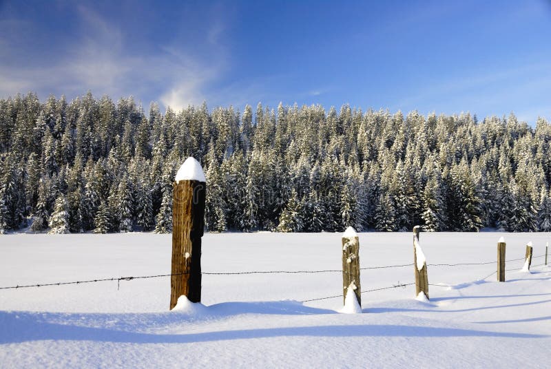 Snowy Pasture stock image. Image of cold, blue, farmland - 17778785