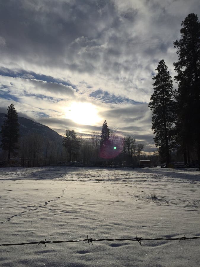Snowy Pasture stock photo. Image of horse, pasture, snow - 79983572