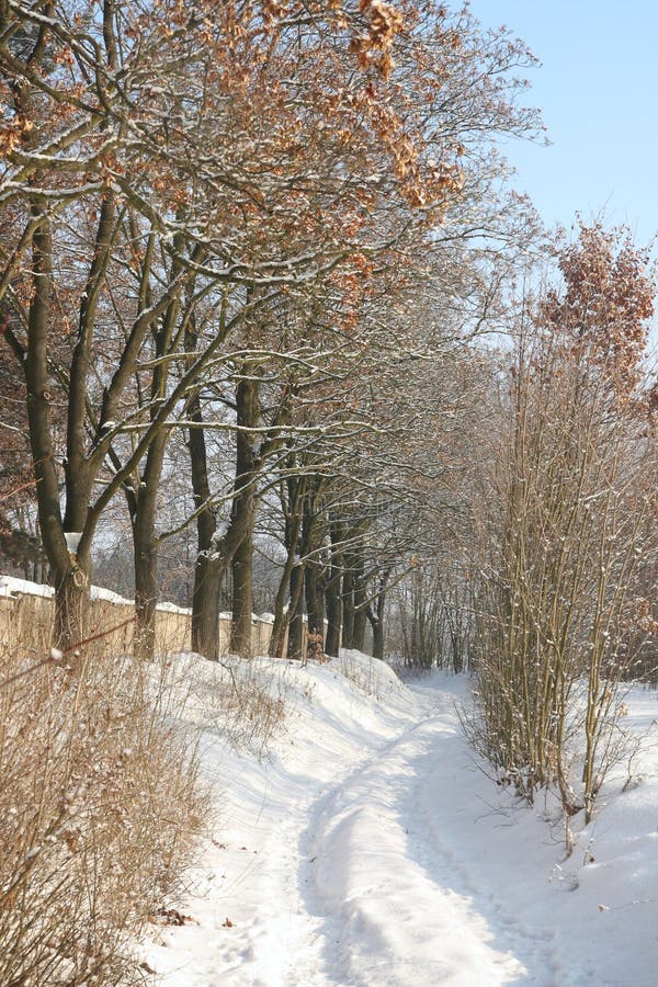 Snowy path stock photo. Image of fresh, park, scenic - 12861216