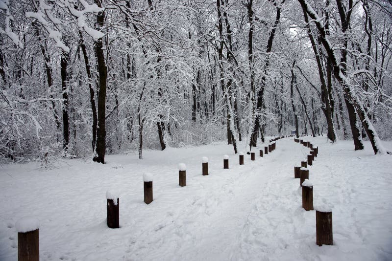 Snowy path stock photo. Image of serbia, mountain, promenade - 20998994