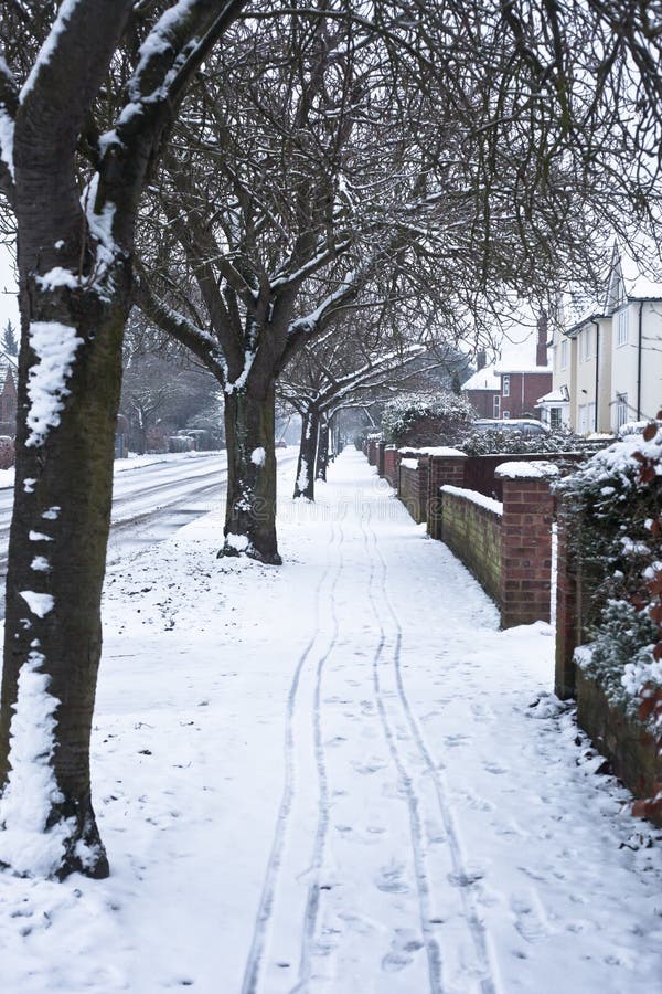 Snowy path stock photo. Image of scene, rural, residential - 29143022
