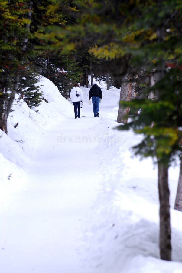 Path in a park stock photo. Image of paved, countryside - 750848