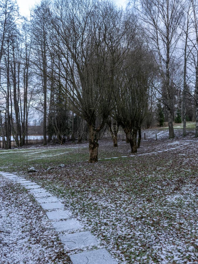 Snowy Path in the Backyard of the House Stock Photo - Image of ...