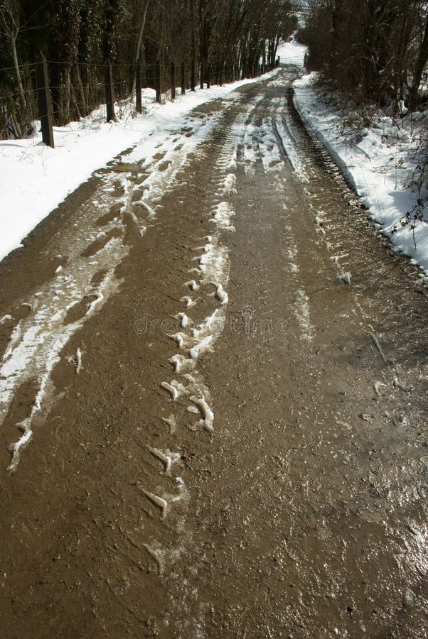 Snowy path stock photo. Image of track, snowy, print - 43055534