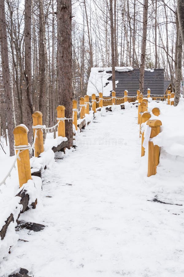 Snowy Path through Snow-covered Stock Image - Image of december, park ...