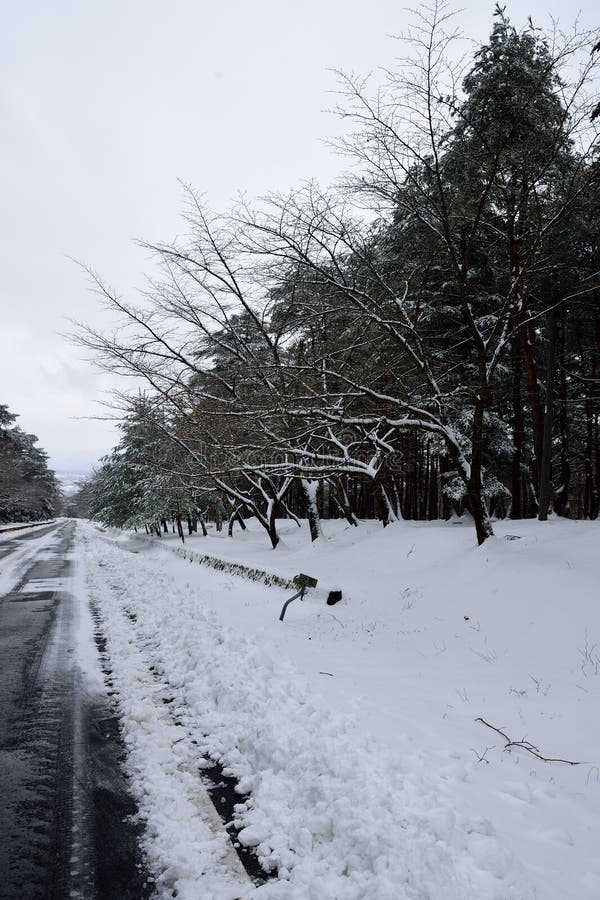 Snowy path stock image. Image of snowy, shedding, highway - 77046593