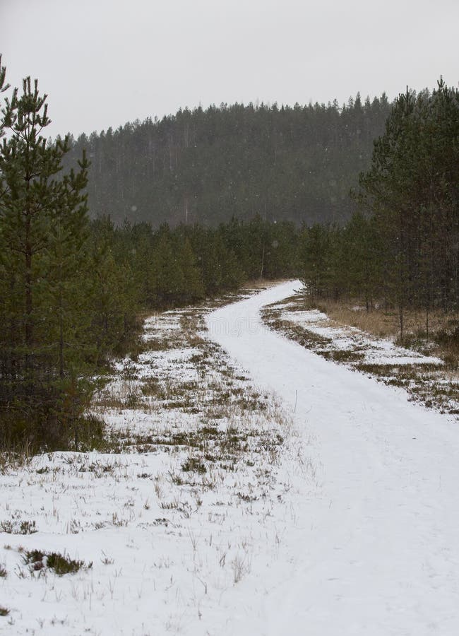 Snowy path. Snow storm. stock image. Image of clean, season - 81517571