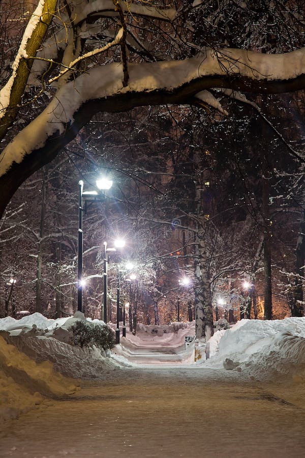 Snowy Path and Street Lamp in Winter Evening Stock Image - Image of ...