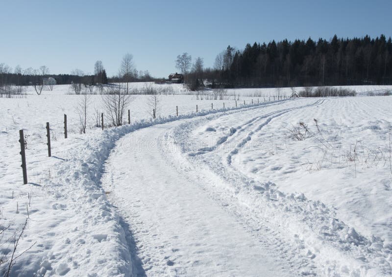 Snowy Pathway in Bright Sunshine Stock Image - Image of horizon ...