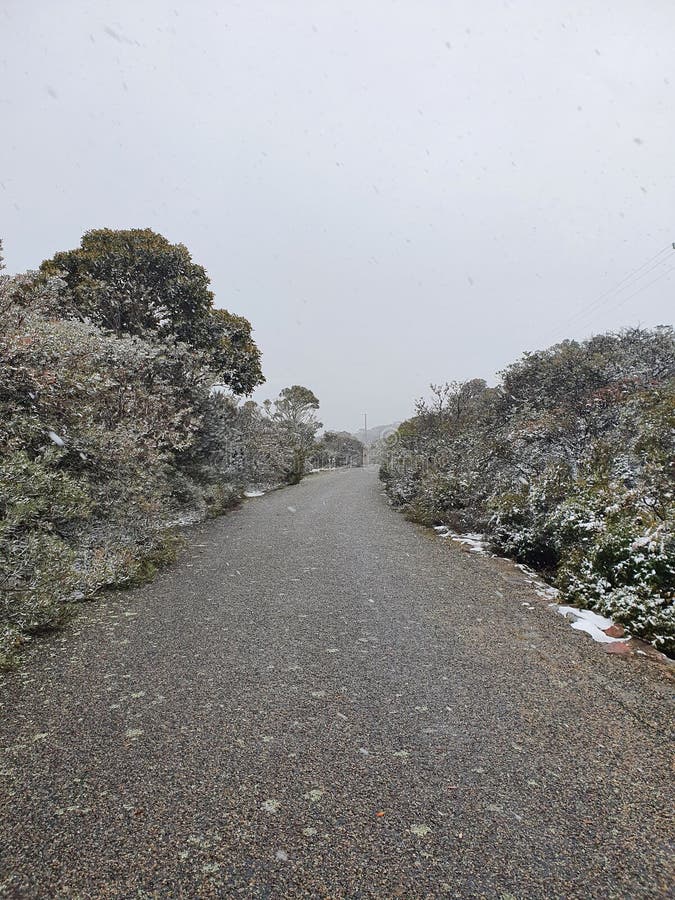Snowy Pathway Ahead stock image. Image of frost, pathway - 238174059