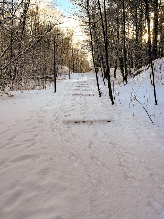 Snowy Pathway in a Forest during Late Afternoon with Sunlight Filtering ...