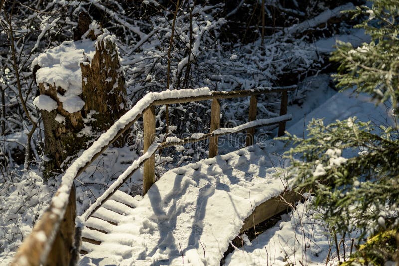 Snowy Pathway for Walking in Forest in Winter Stock Photo - Image of ...
