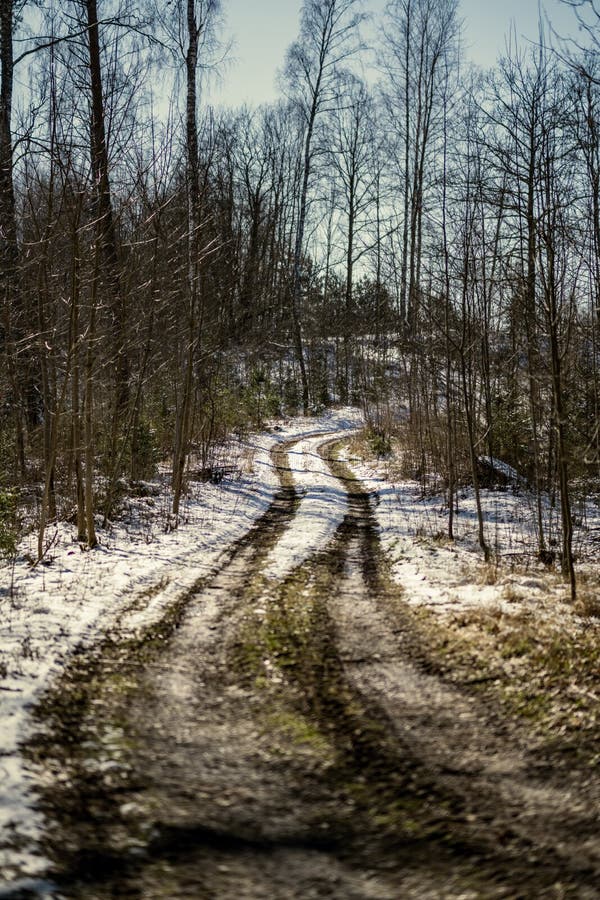 Snowy Pathway for Walking in Forest in Winter Stock Photo - Image of ...