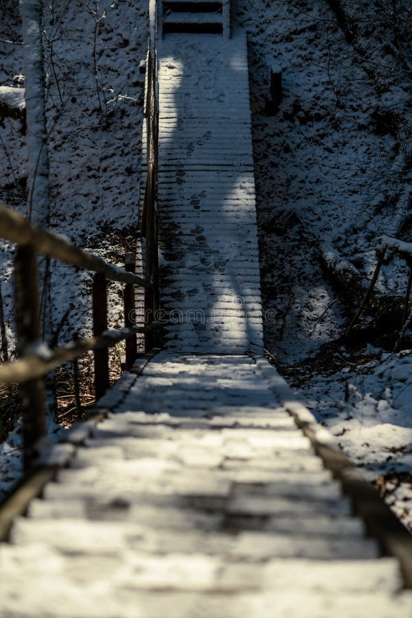 Snowy Pathway for Walking in Forest in Winter Stock Photo - Image of ...
