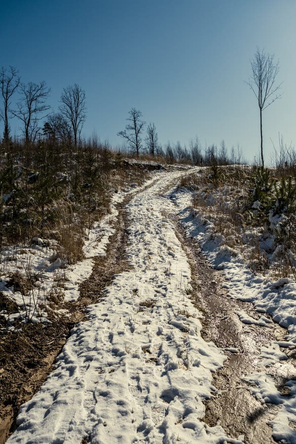 Snowy Pathway for Walking in Forest in Winter Stock Photo - Image of ...
