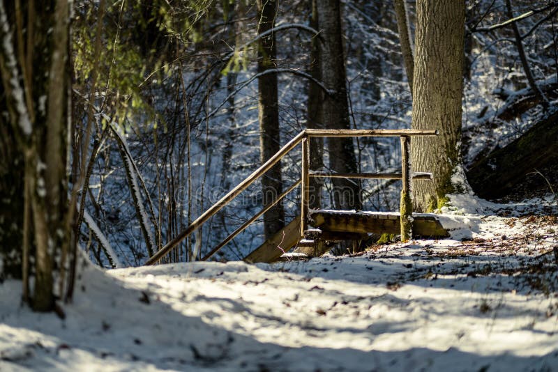 Snowy Pathway for Walking in Forest in Winter Stock Photo - Image of ...