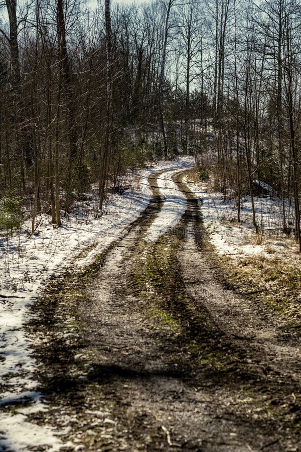 Snowy Pathway for Walking in Forest in Winter Stock Photo - Image of ...