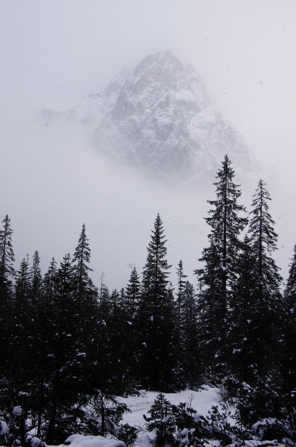 Snowy peak in the mist stock photo. Image of environment - 76971978