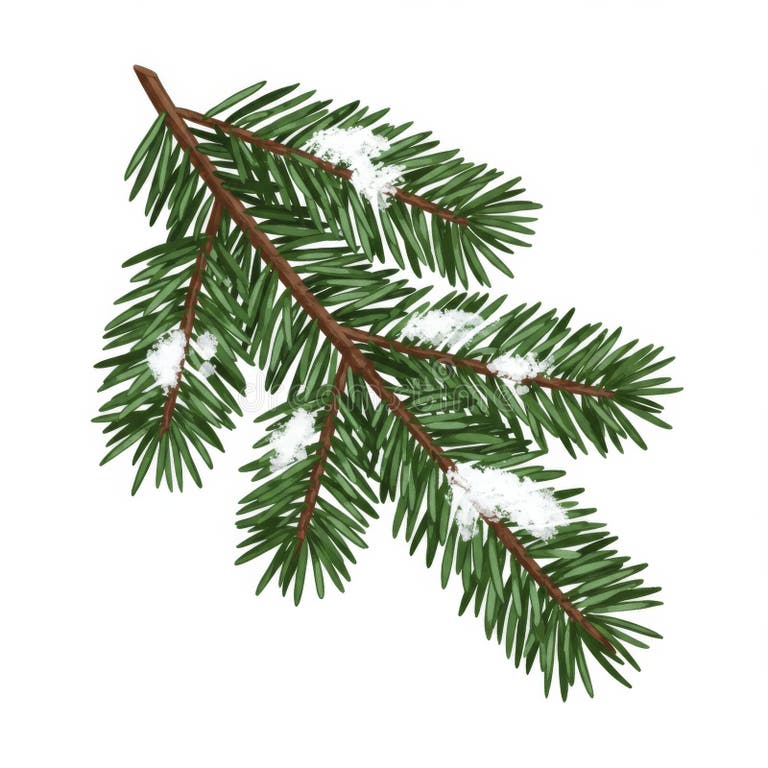 Snowy Pine Branch Illustration Stock Illustration - Illustration of frost, design: 388403220