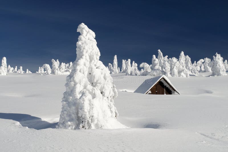 Snowy Plain with a Snowbound Hut Stock Image - Image of spruce, winter ...