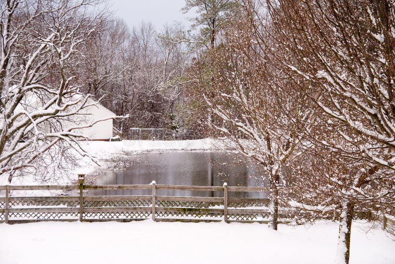 Snowy Pond stock photo. Image of snowy, reflecting, waters - 13004634