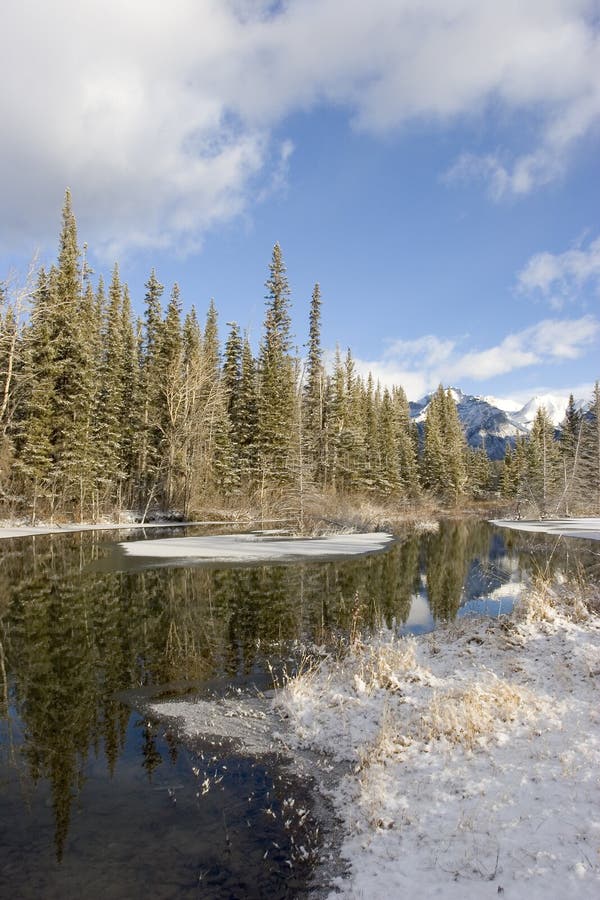 Snowy Pond 2 stock image. Image of winter, frosty, brook - 373941