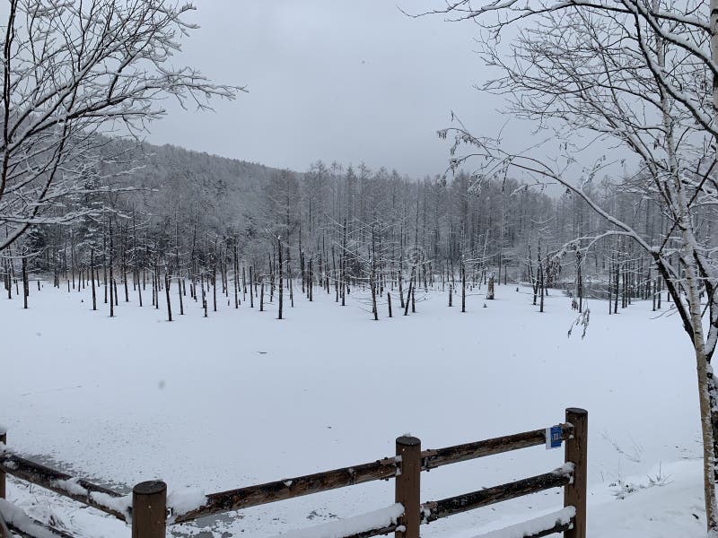 Snowy Pond Scenery in Japan Stock Photo - Image of frozen, marble ...