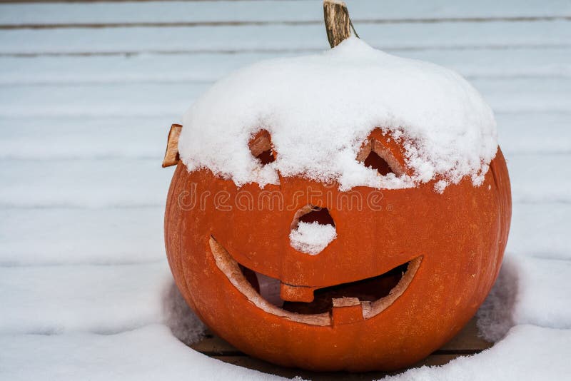 Frost on a Pumpkin stock image. Image of sitting, pumpkin - 47143709