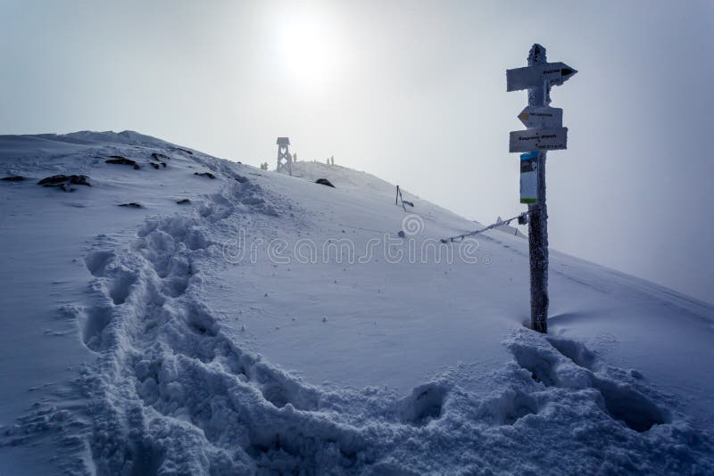 Snowy Ridge in the Mountains in Winter Stock Image - Image of natural ...