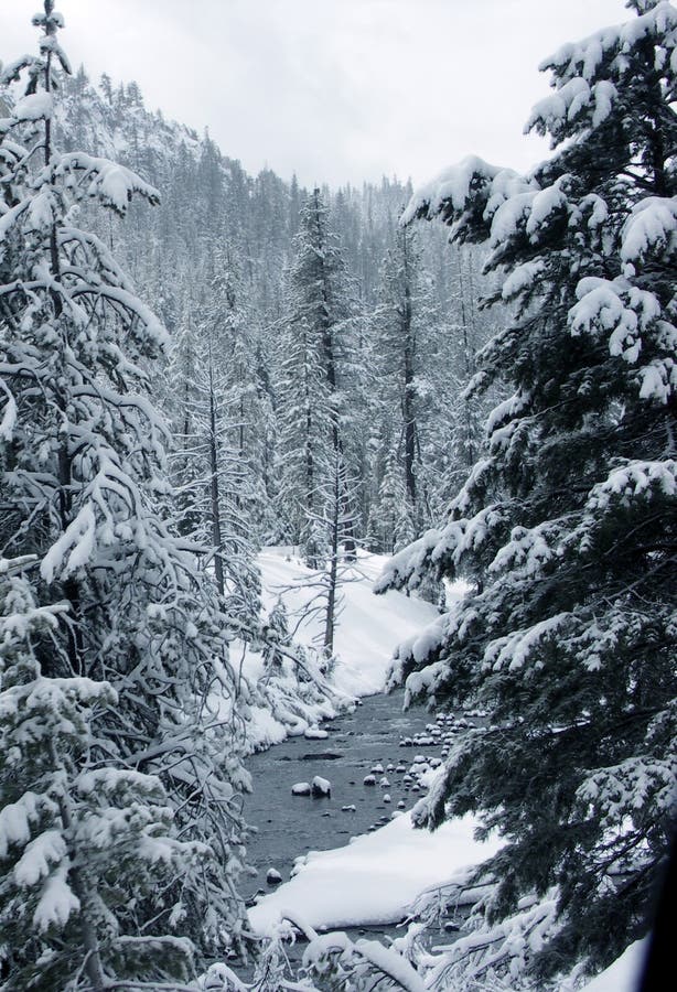 Snowy River in Cold Winter Day Stock Photo - Image of river, stream ...