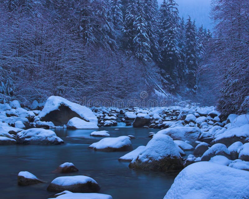 Winter Scene with Stream stock photo. Image of forest - 3876400