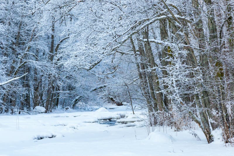 Snowy river landscape stock photo. Image of scenic, riverside - 78781404