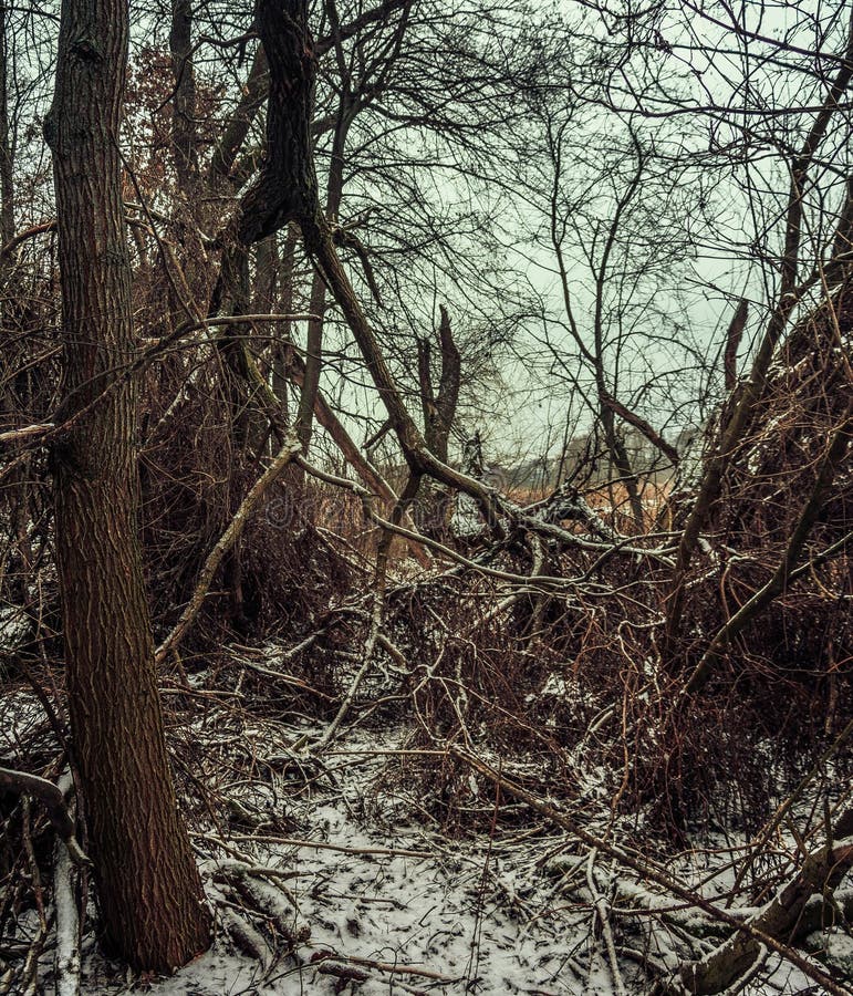 Snowy River Shores and Fields Stock Photo - Image of nature, field ...