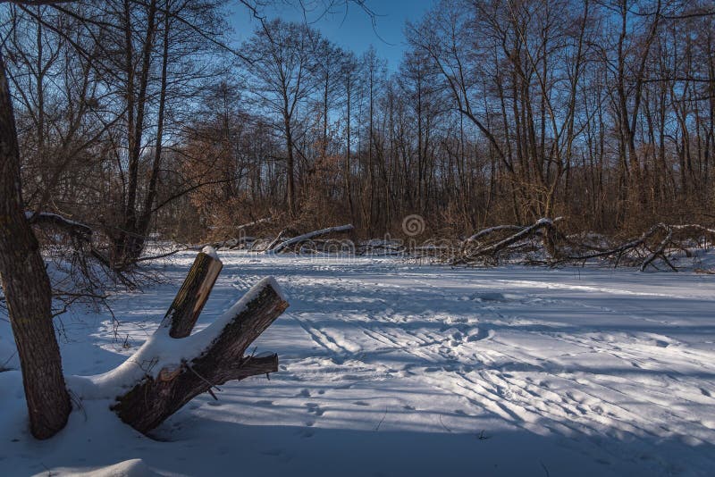 Snowy River Shores and Fields Stock Image - Image of meadow, mist ...