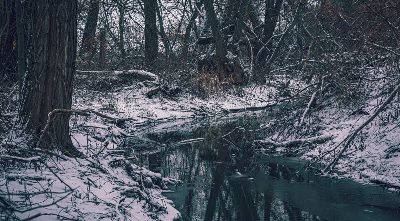 Snowy River Shores and Fields Stock Image - Image of river, mist: 283626599