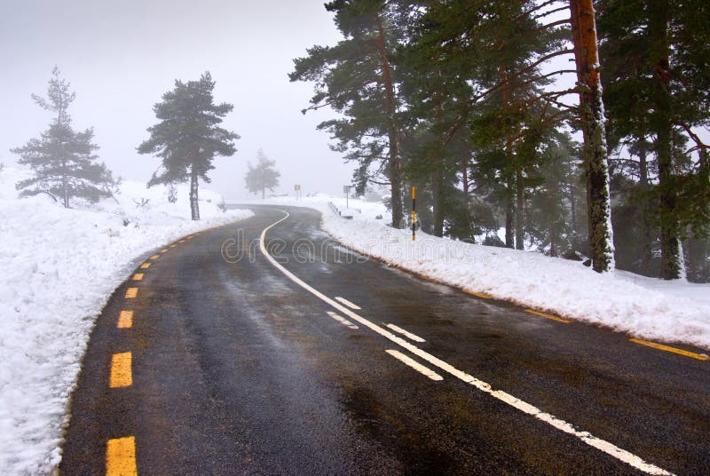 Snowy road stock image. Image of evergreen, snow, season - 17854657