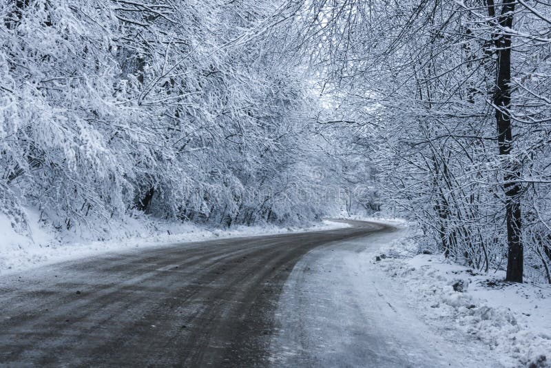 Snowy Road stock image. Image of trees, icey, winter - 36123143