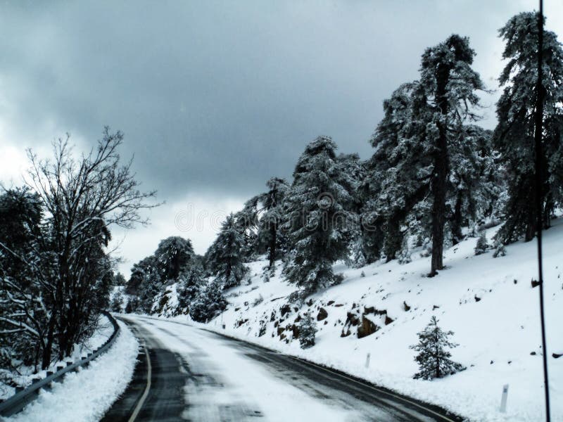 Snowy stock photo. Image of road, trees, cyprus, mountains - 55070176