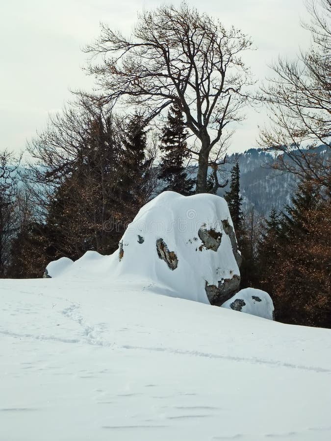 Snowy rock stock photo. Image of winter, trail, rock - 52231752